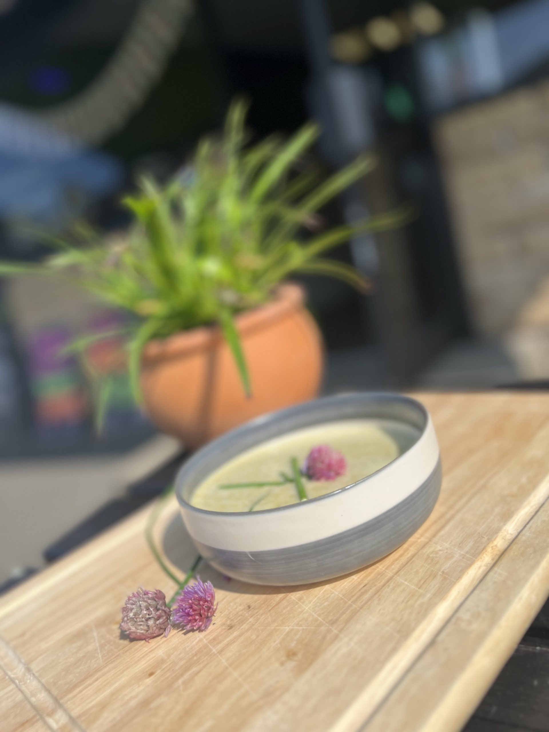 Homemade Soup (vg) (gf) - The Fuzzy Duck Food Company
